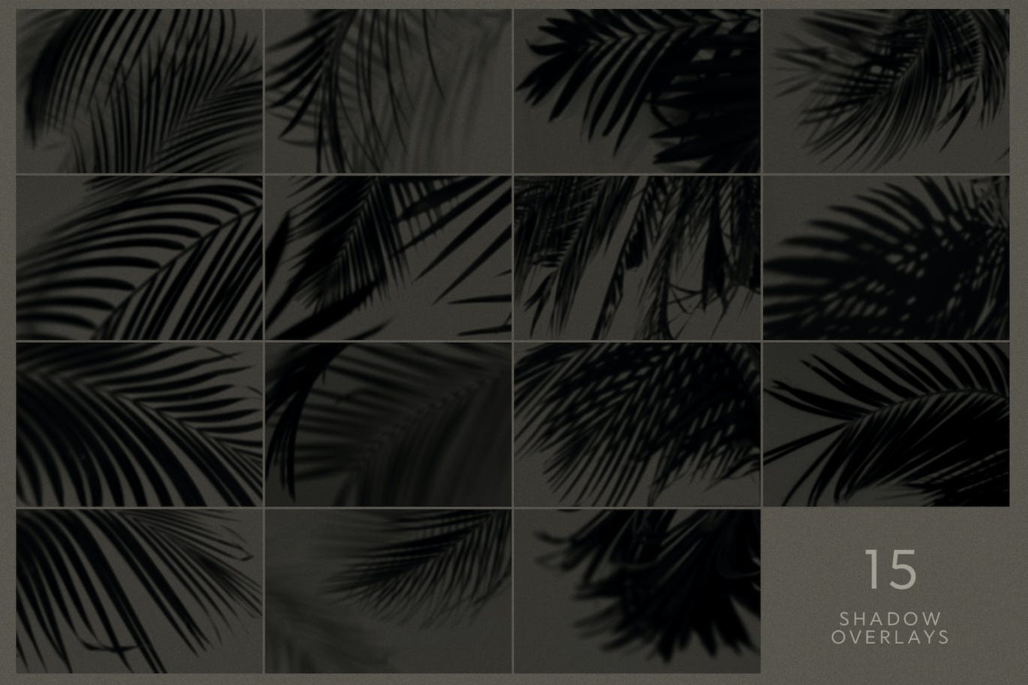 5334 15个可以用做光影效果的树叶叶子阴影投影素材包 Shadow Overlays by Sko4@GOOODME.COM _ 果觅网 ...